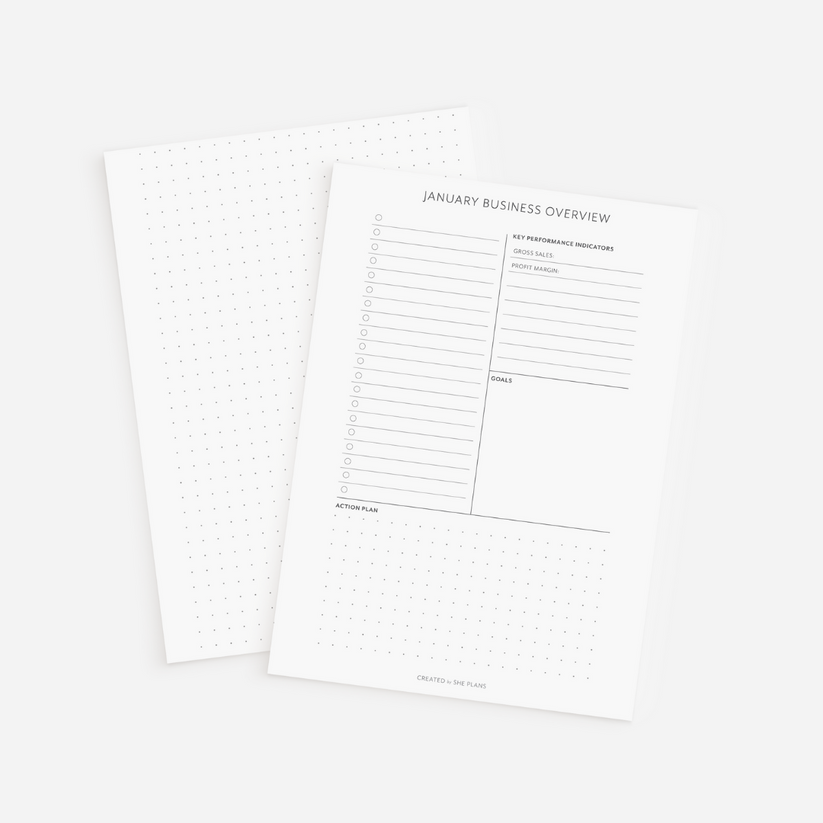 Monthly Business Overview Insert – She Plans