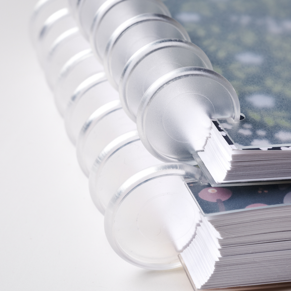 Plastic Discbound Discs – She Plans