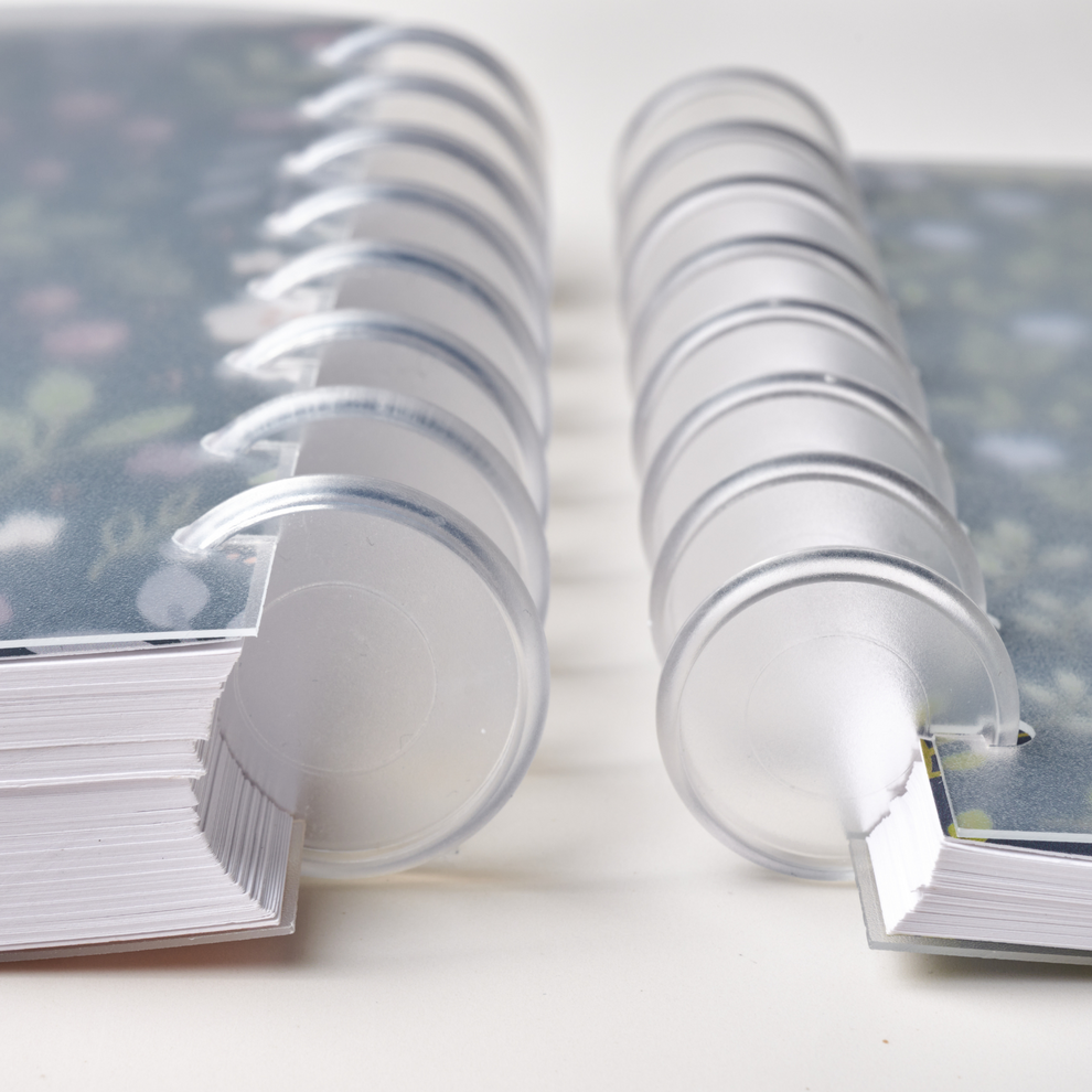 Plastic Discbound Discs – She Plans